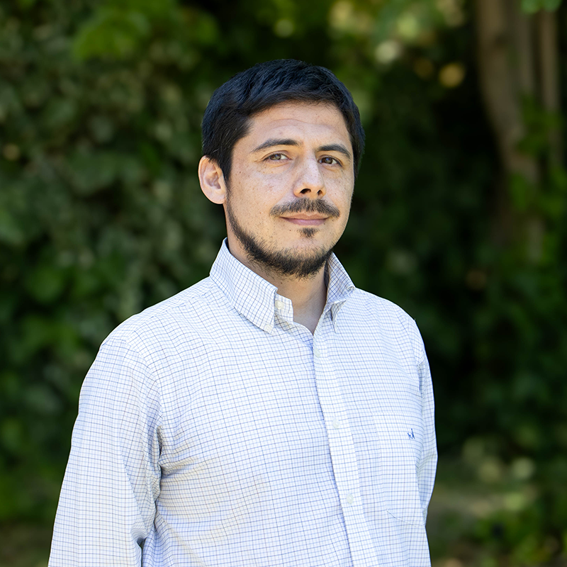 Pablo Castro Hernández - Departamento de historia