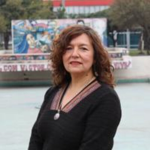 Porqué Sí a la historia, la geografía y las ciencias sociales, columna ...